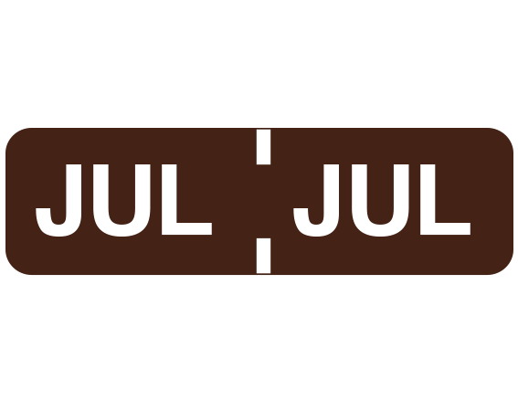 FXM-316 Color Coded Month Folder Labels for Ames Filing