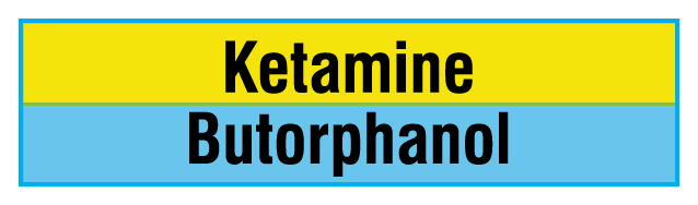 SAV-990-PK Anesthesia Labels for Syringe Identification