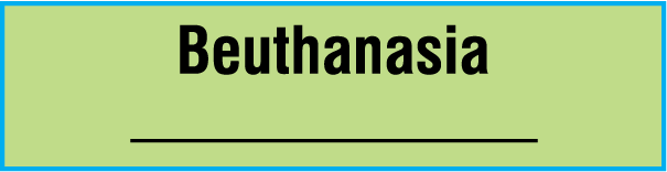 SAV-922-PK Anesthesia Labels for Syringe Identification